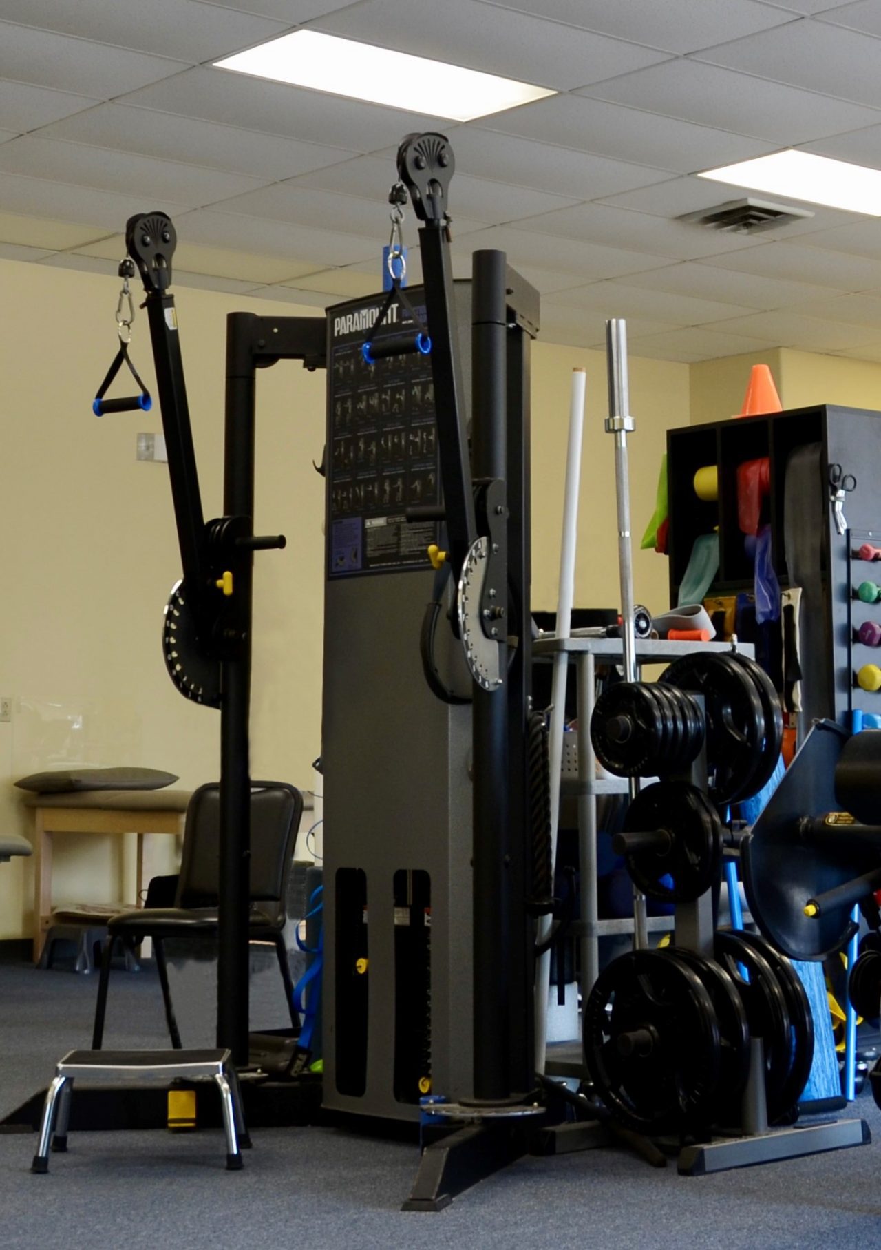 Services » Proactive PT