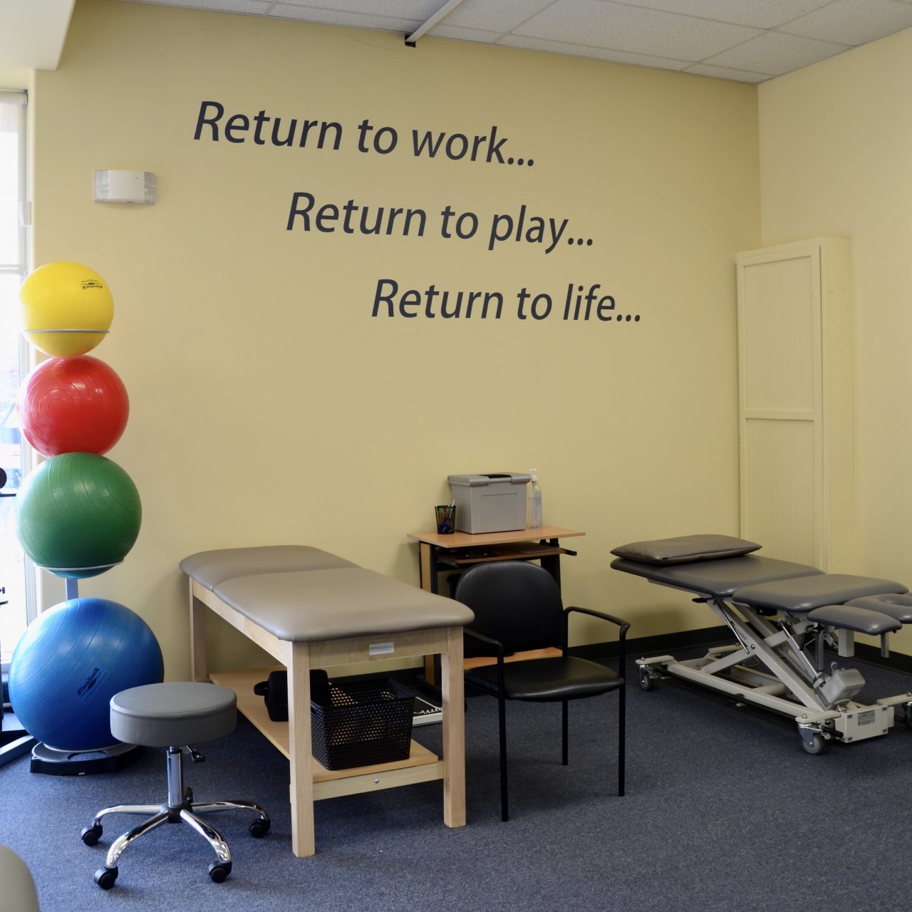 Home » Proactive PT