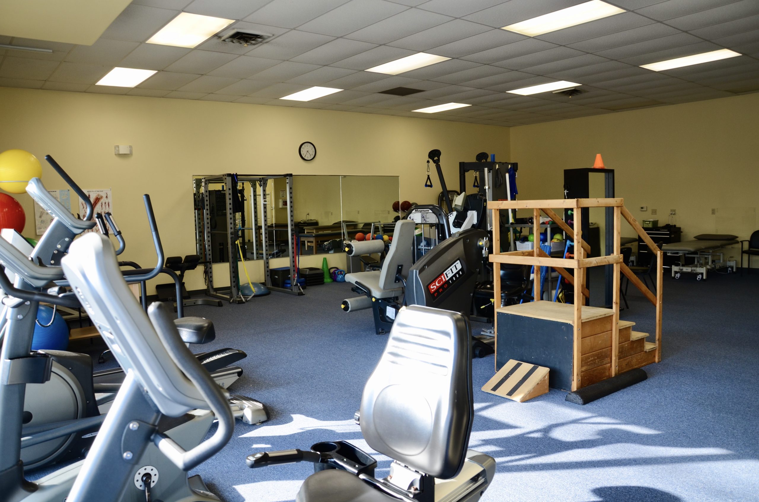 Services » Proactive PT