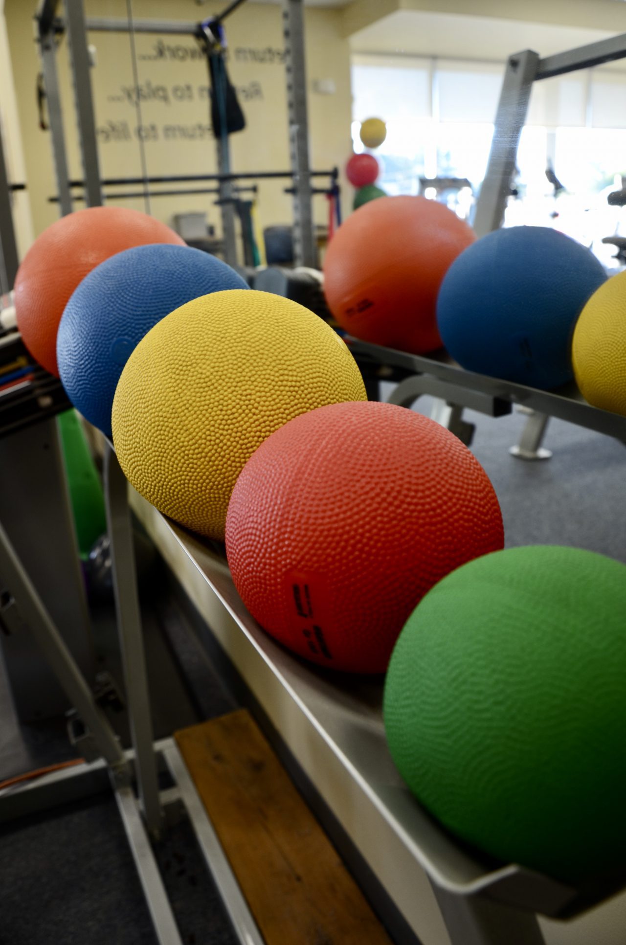 Services » Proactive PT